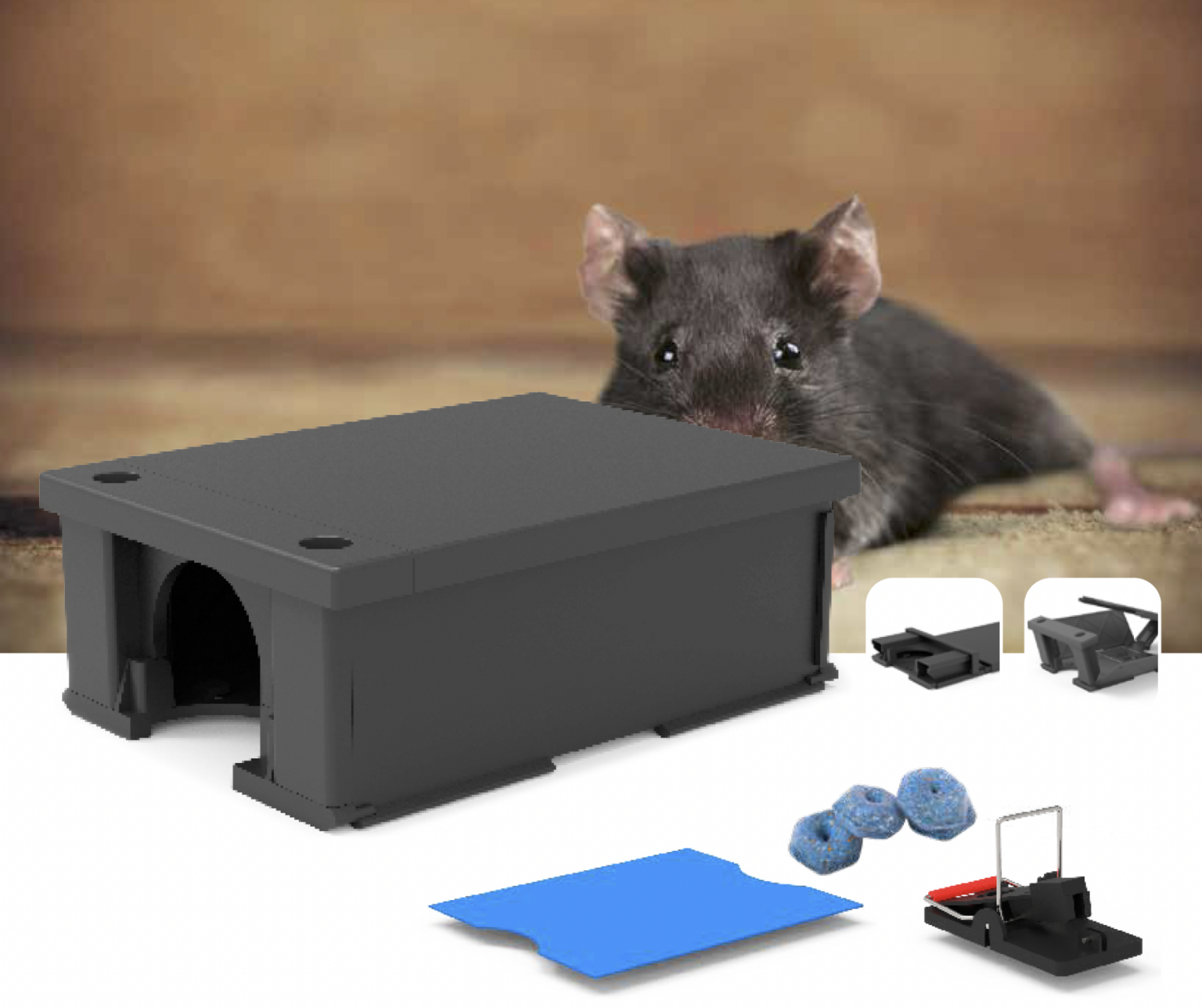 Bait-station FBS01 - Traps for indoor use